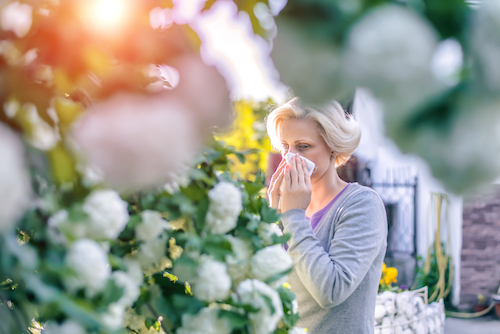 Discover How to Differentiate Between the Common Cold & Allergies ...